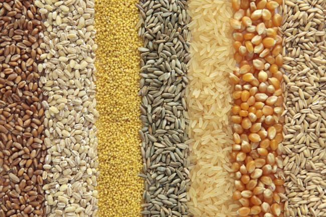 Commodities & Agribusiness - Shocron Benmuyal & Associates